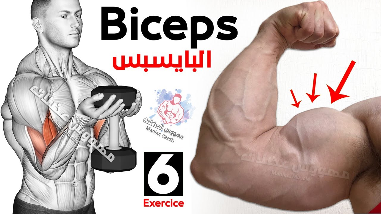 How To Build Your Biceps Fast 6 Effective Exercises تمارين البايسبس