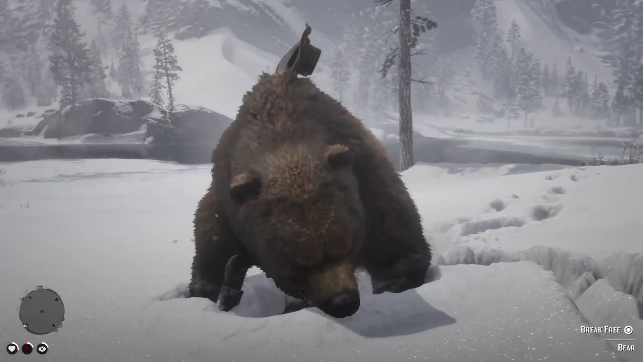Red Dead Redemption 2 - TRYING TO KILL BEAR #LOL - YouTube