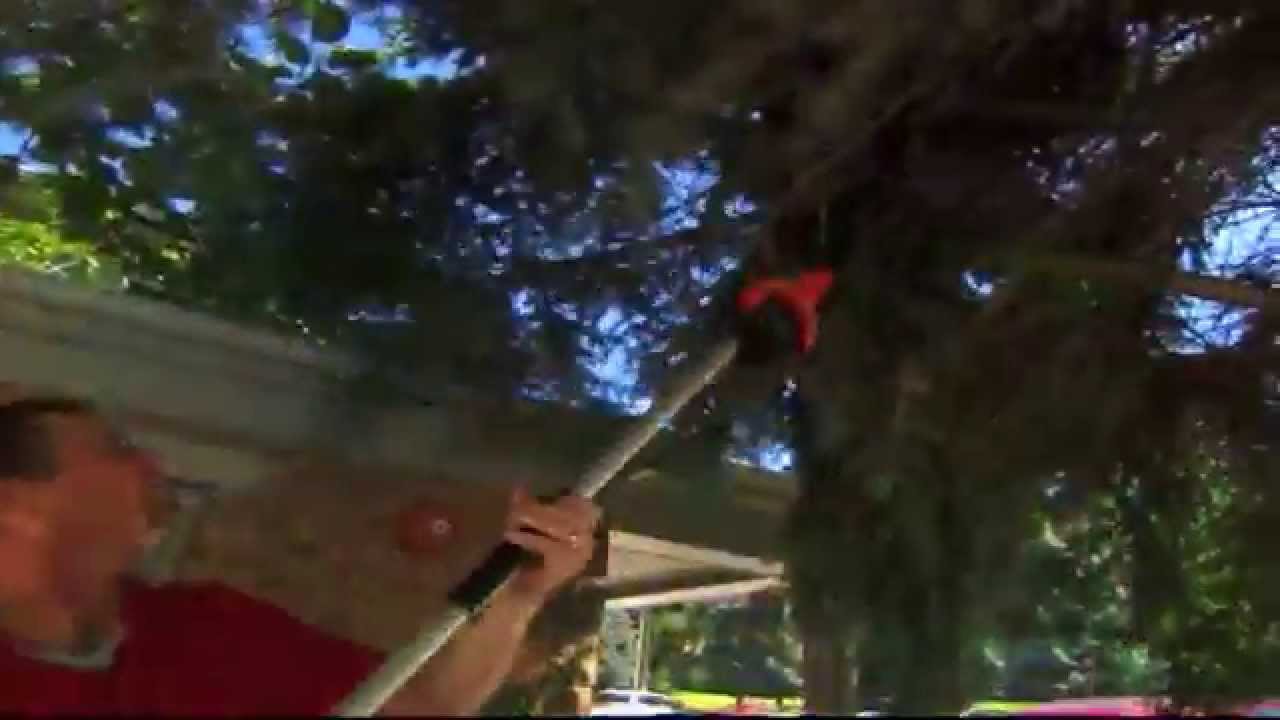 Worx 5 Amp 6 in. JawSaw Electric Chain Saw - WG307 - YouTube