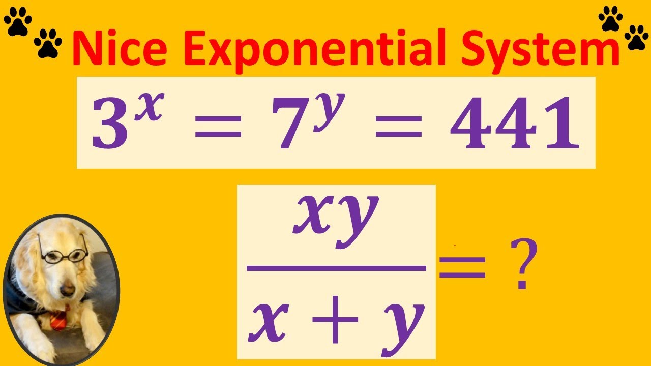 Math Dogtor is solving a cool exponential system - YouTube