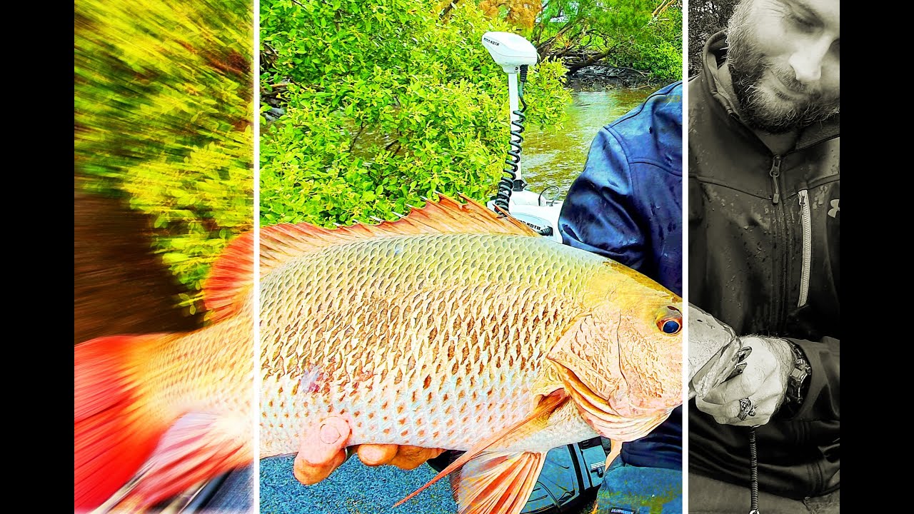 How to catch big Mangrove Jack!! NEW PB BABY!!! - YouTube