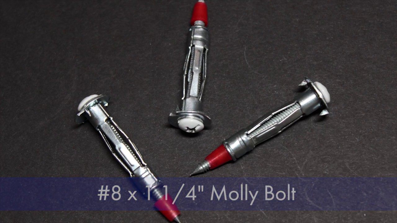 Molly Bolt web v1 - YouTube