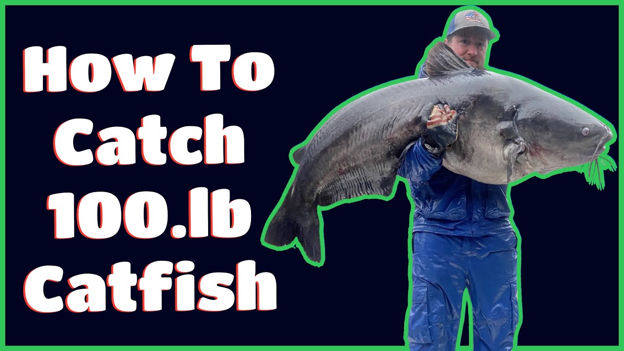 How To Catch 100.LB Catfish - YouTube