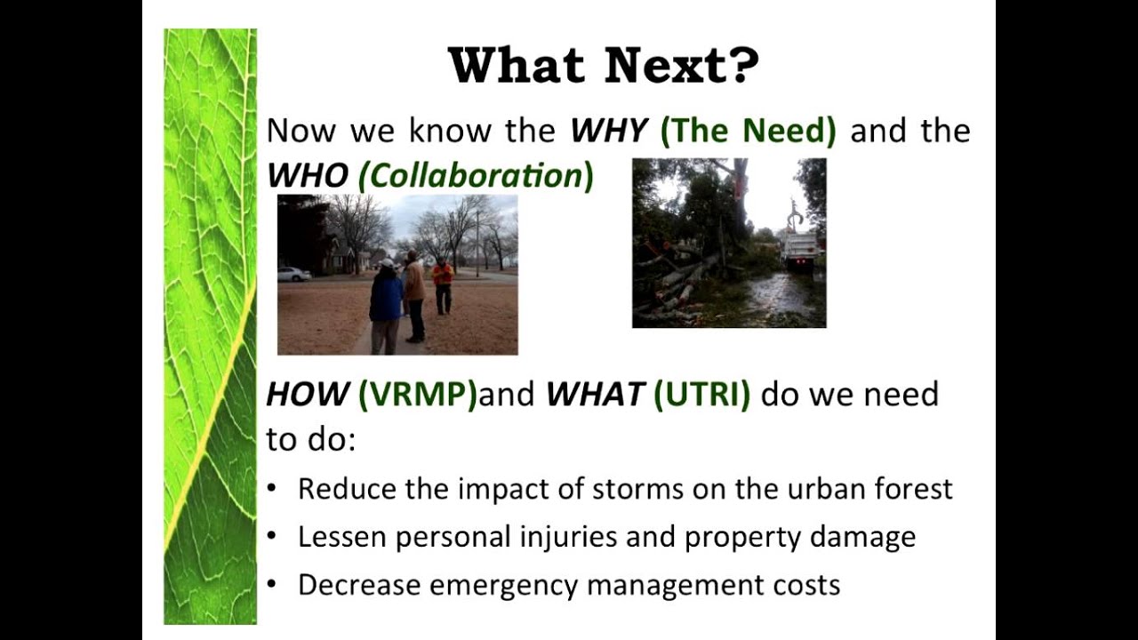 Urban Tree Risk and Disasters: Assessment, Planning and Recovery - YouTube