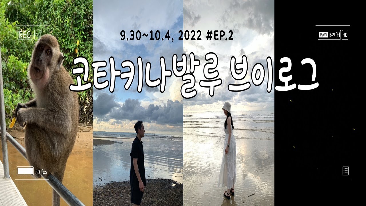 아준커플 Vlog 2 코타키나발루 여행 말레이시아 원숭이 커플여행 커플브이로그 커플vlog 여행