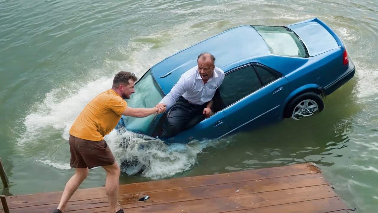 Most Heartwarming & Funny Car Moments Caught on Camera - YouTube