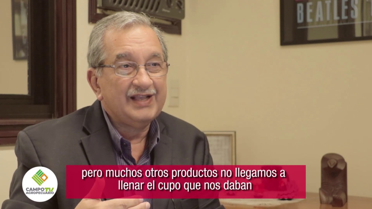 CAtv Programa9 - Economia con Fernando Masi - YouTube