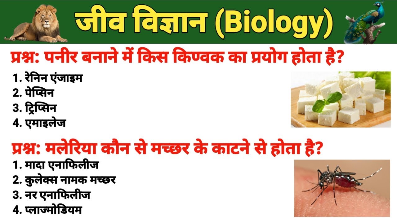 जीव विज्ञान:Biology important gk questions.biology gk questions and ...