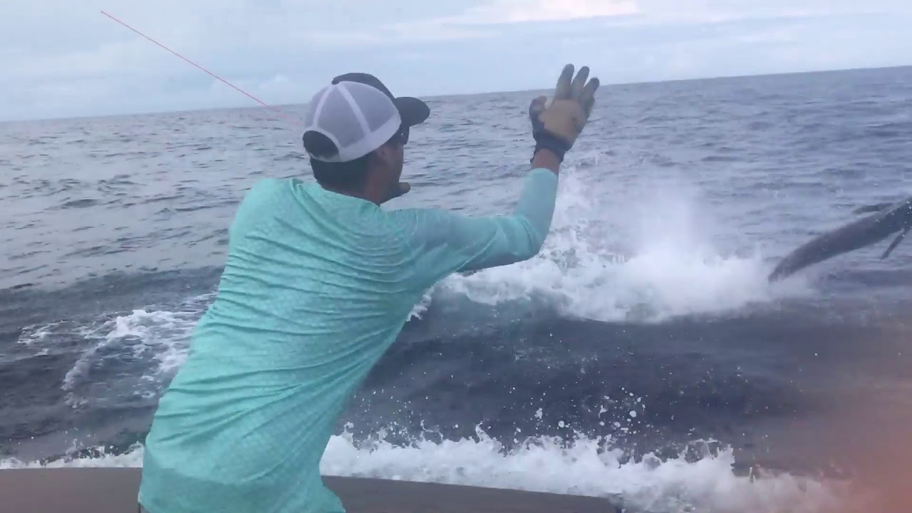 Seamount Fishing in Costa Rica! - YouTube