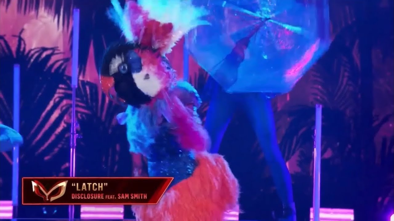 Exotic Bird Dances To "Latch" By Disclosure Feat. Sam Smith | Masked ...