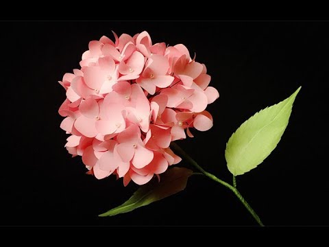 ABC TV | How To Make Hydrangea Paper Flower From Shape Punch - Craft ...