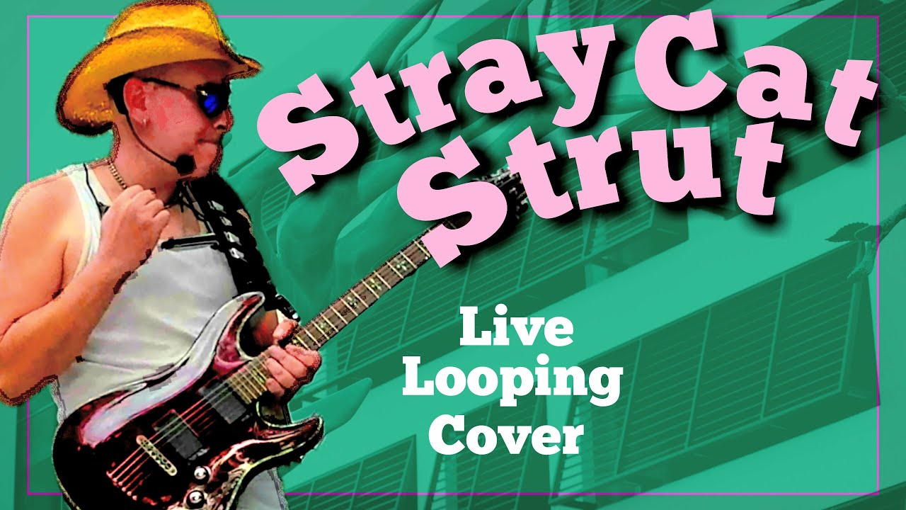 Stray Cat Strut. Stray Cats cover. Street Musician nails the classic ...