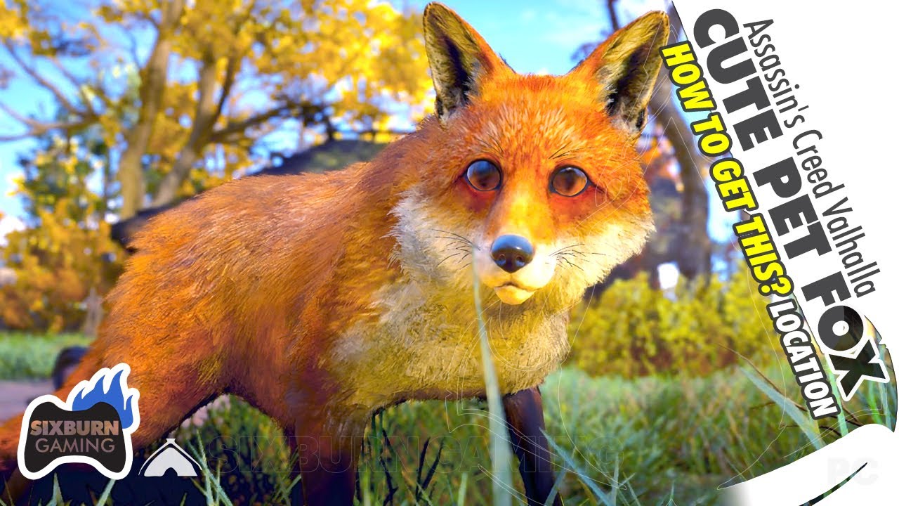 How to Get the Cute Pet Fox Dandelion in Assassin's Creed Valhalla ...