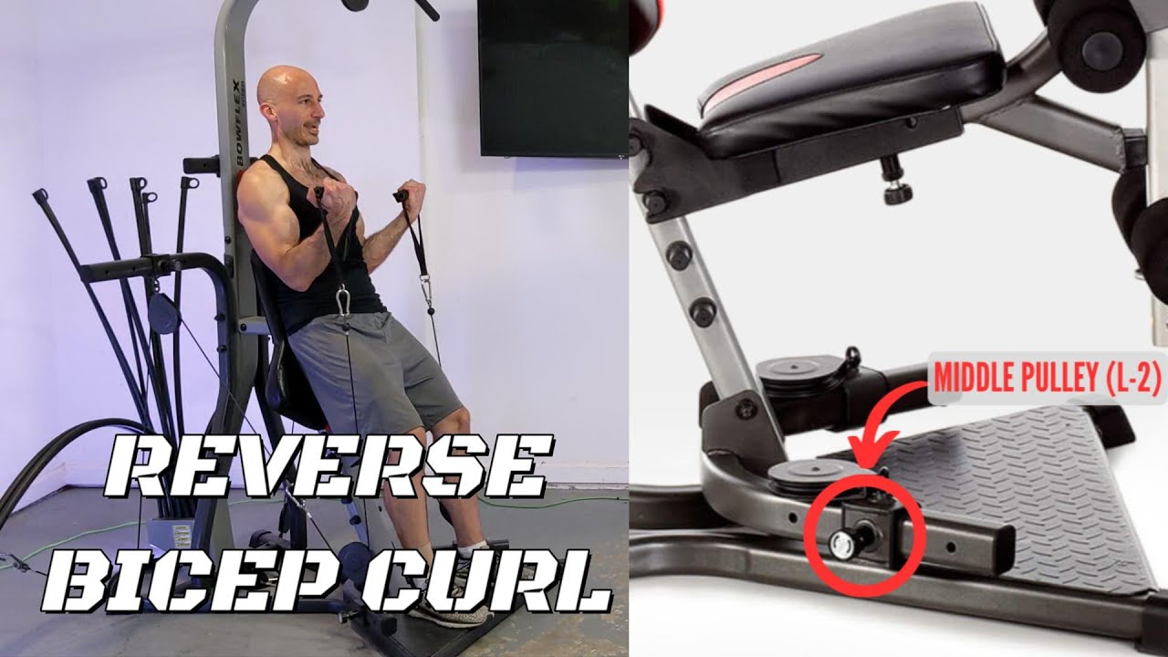 Reverse Bicep Curl on the Bowflex | #XCEED #XTREME #L1 #L2 #Biceps ...