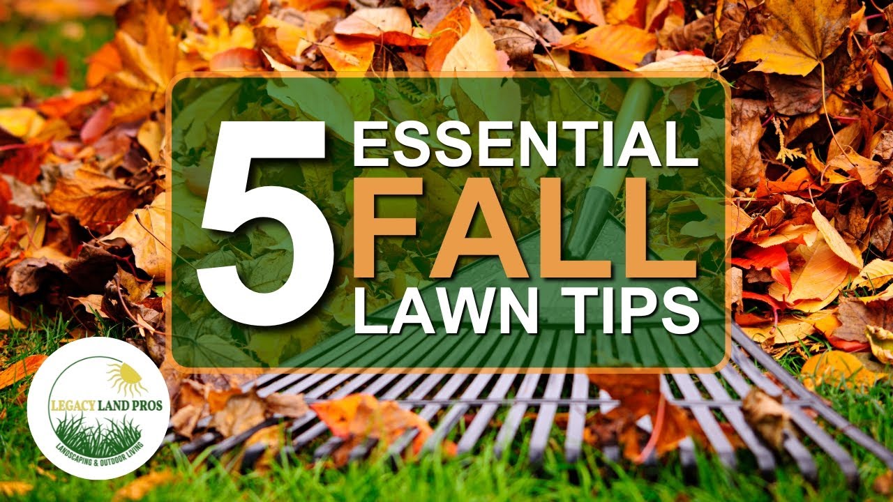 🍁 5 Essential Tips for Fall Lawn Care 🍂 - YouTube