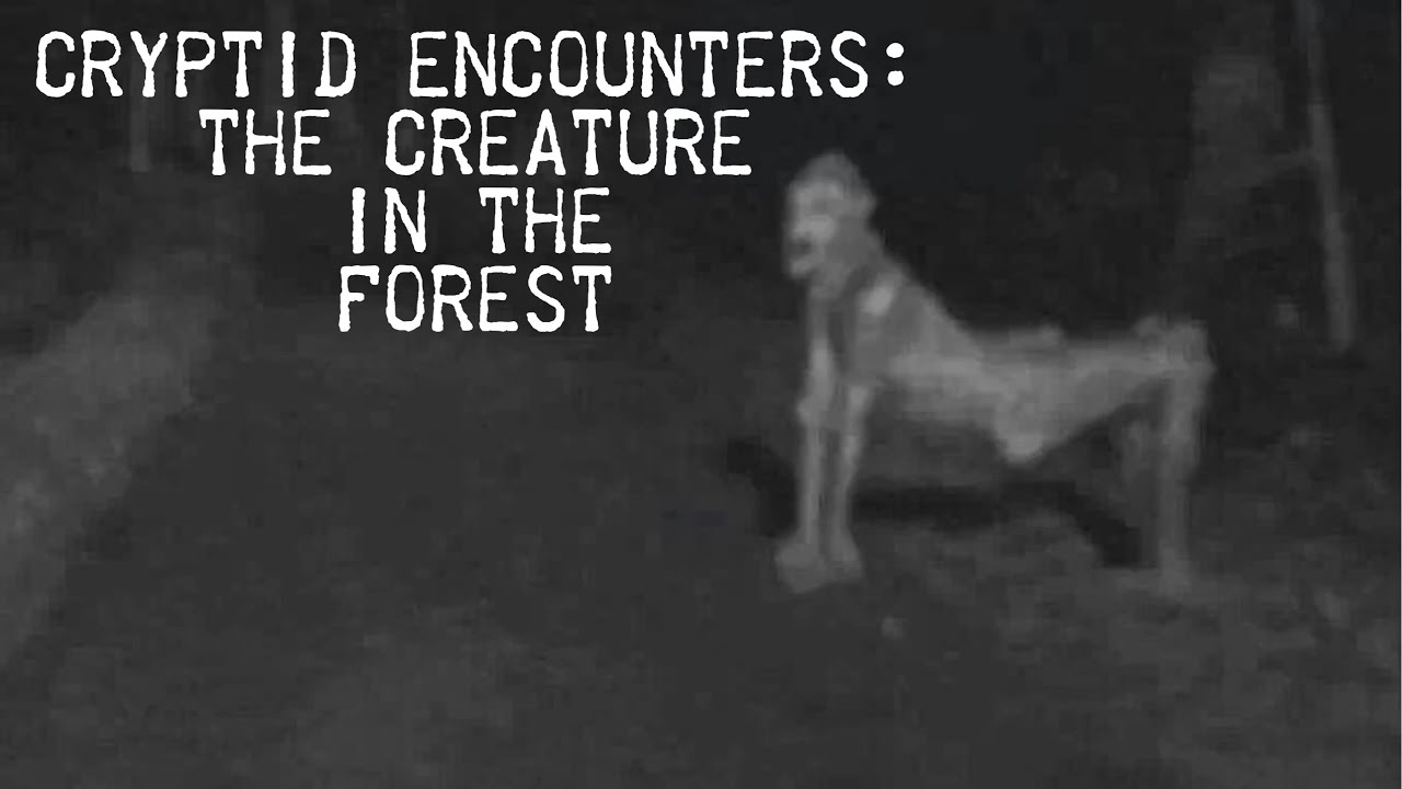 Cryptid Encounters: The Creature in the Forest - YouTube