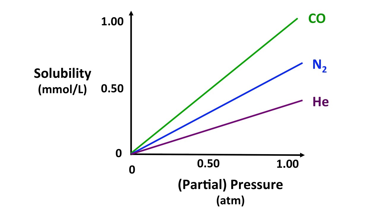 Gas-Solubility-1-20-17 - YouTube