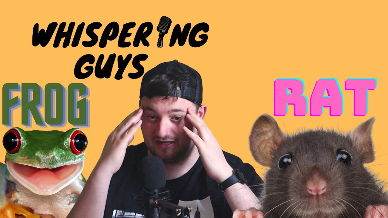 WHY EVERYONE IS EITHER FROG OR RAT! - YouTube