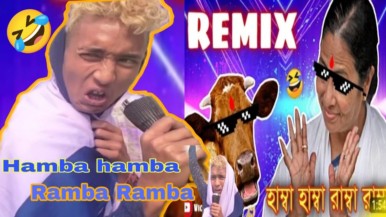 হাম্বা হাম্বা রামবা রামবা|😂 2023| new song |hamba hamba 🤣Ramba ramba🤣 ...