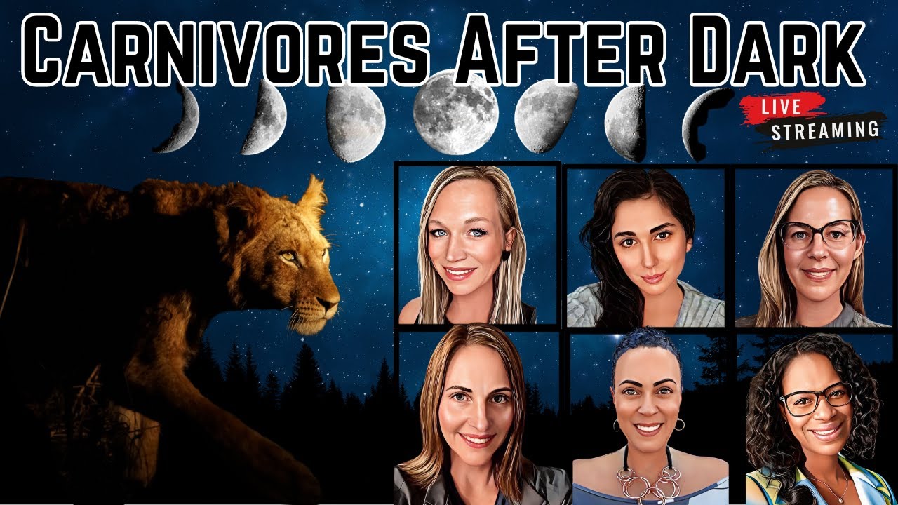 Carnivore After Dark | The Carnivore Queens: Women Leading the Way in ...