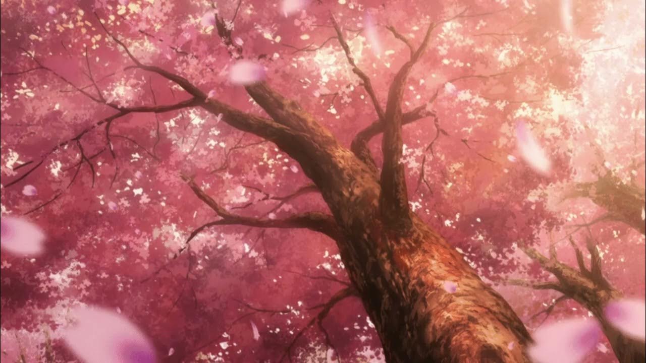 Xcho - Sakura (Slowed) - YouTube