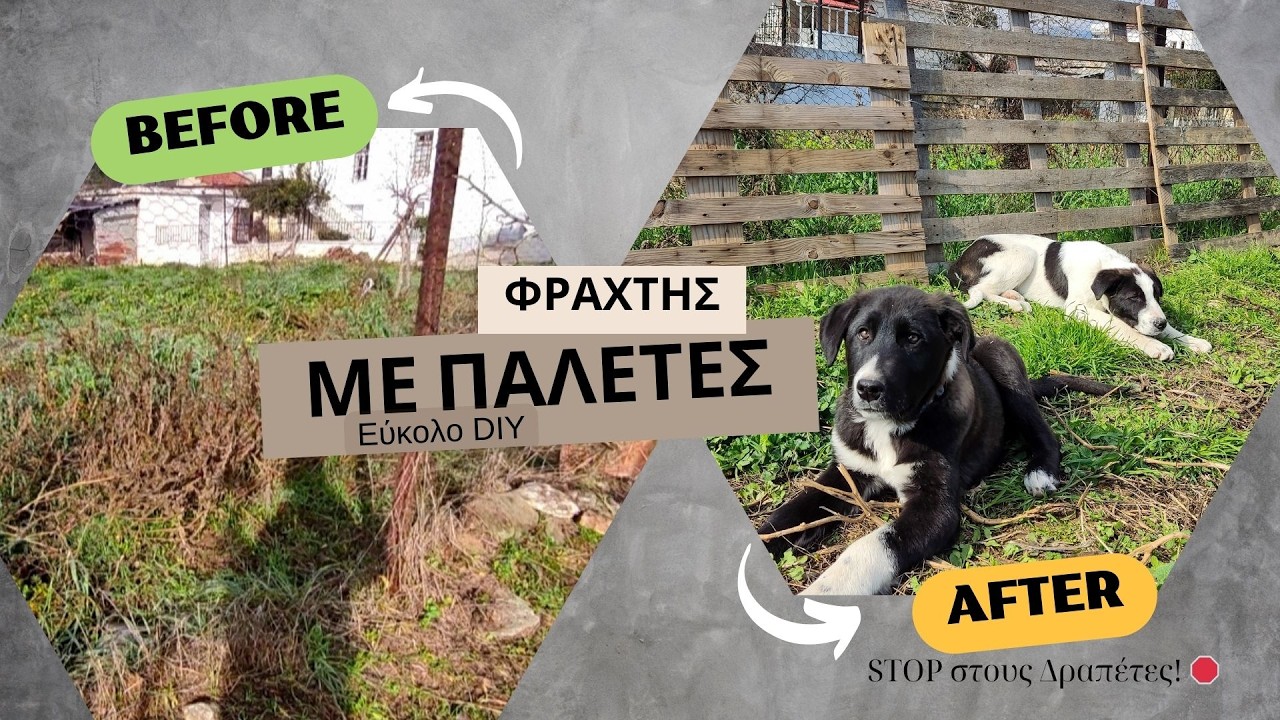 Φτιάξαμε Φράχτη με Παλέτες για να ΜΗΝ το ΣΚΑΝΕ τα Σκυλιά μας! (Εύκολο ...