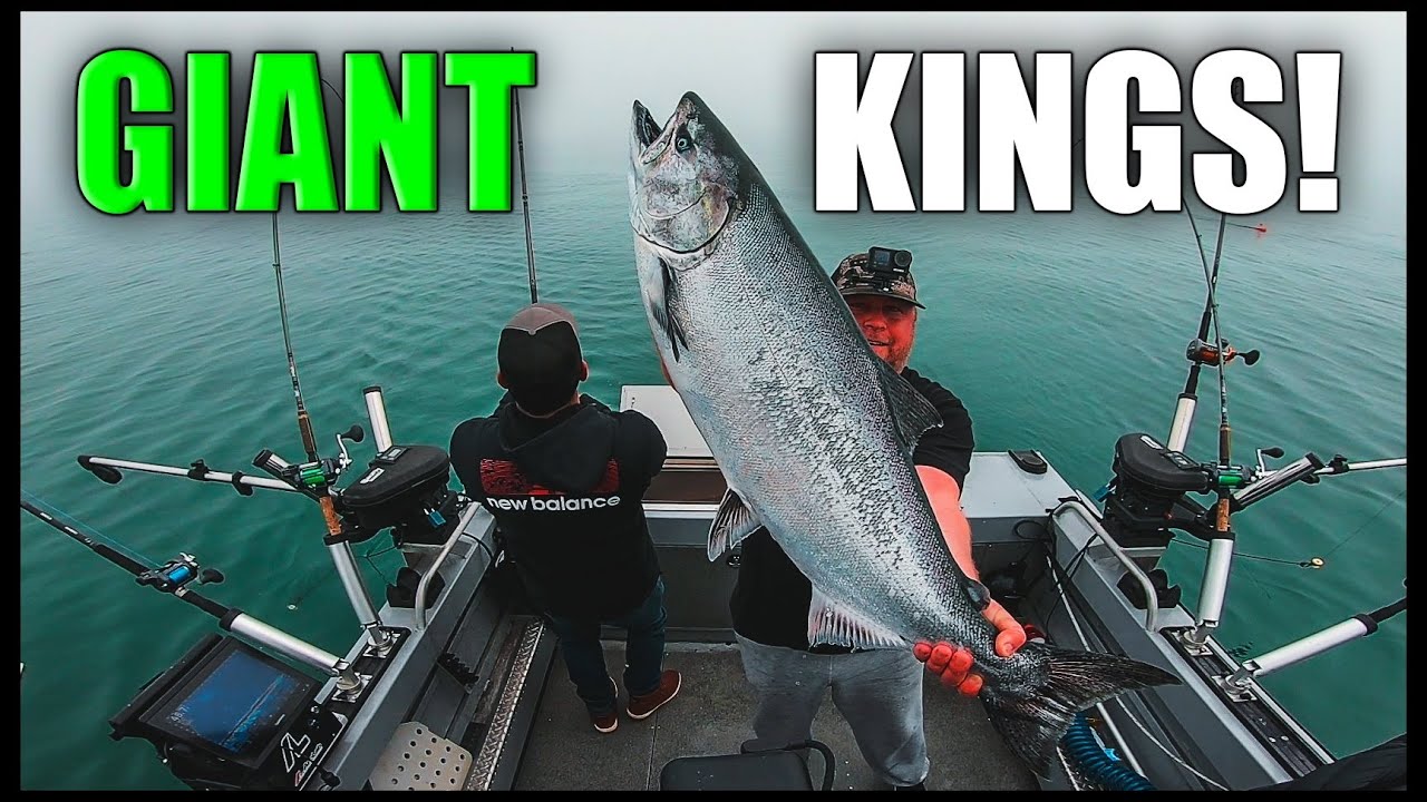 EPIC 50 Fish Day on LAKE ONTARIO! {New 2024 Record!} - YouTube