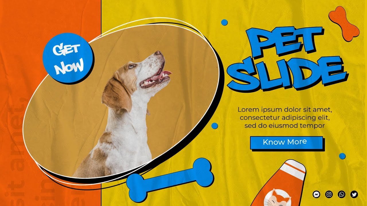 Pet Slideshow After Effects Templates | Download Premium Design ...