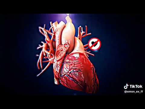 +%E0%A6%86%E0%A6%B2%E0%A7%8D%E0%A6%B2%E0%A6%BE%E0%A6%B9+%E0%A6%AF%E0%A6 ...