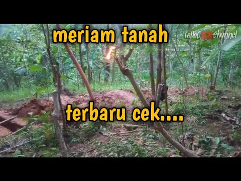 MERIAM TANAH 2023 CEK - YouTube