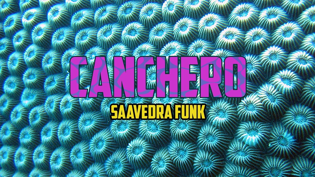 CANCHERO! - Saavedra funk (Video vertical) - YouTube