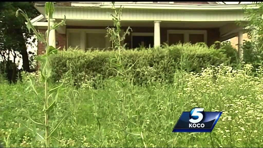 Tall grass a eyesore for neighbors - YouTube