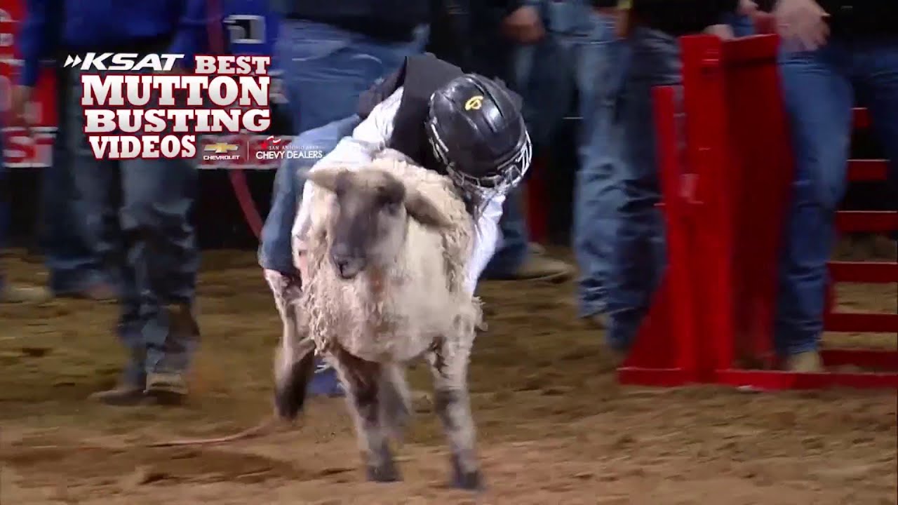 Kids hold on for a ride in Mutton Busting - YouTube