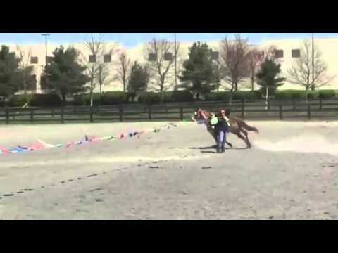 Trick riding - laying - YouTube