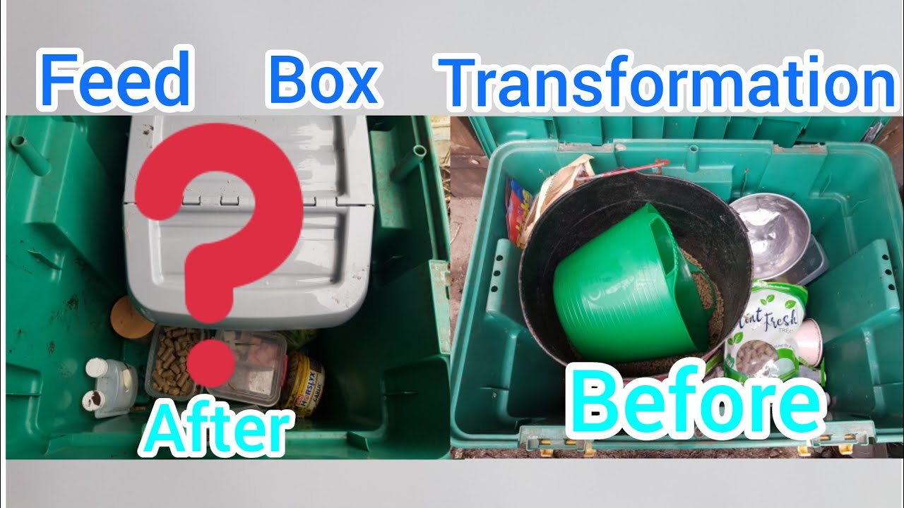 Feed Box Organisation! *satisfying* - YouTube