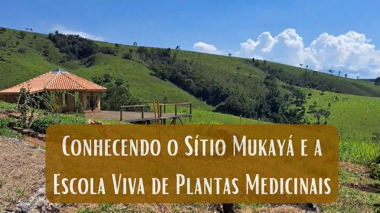 Sitio Mukayá e a Escola Viva de Plantas Medicinais - a expansão da ...