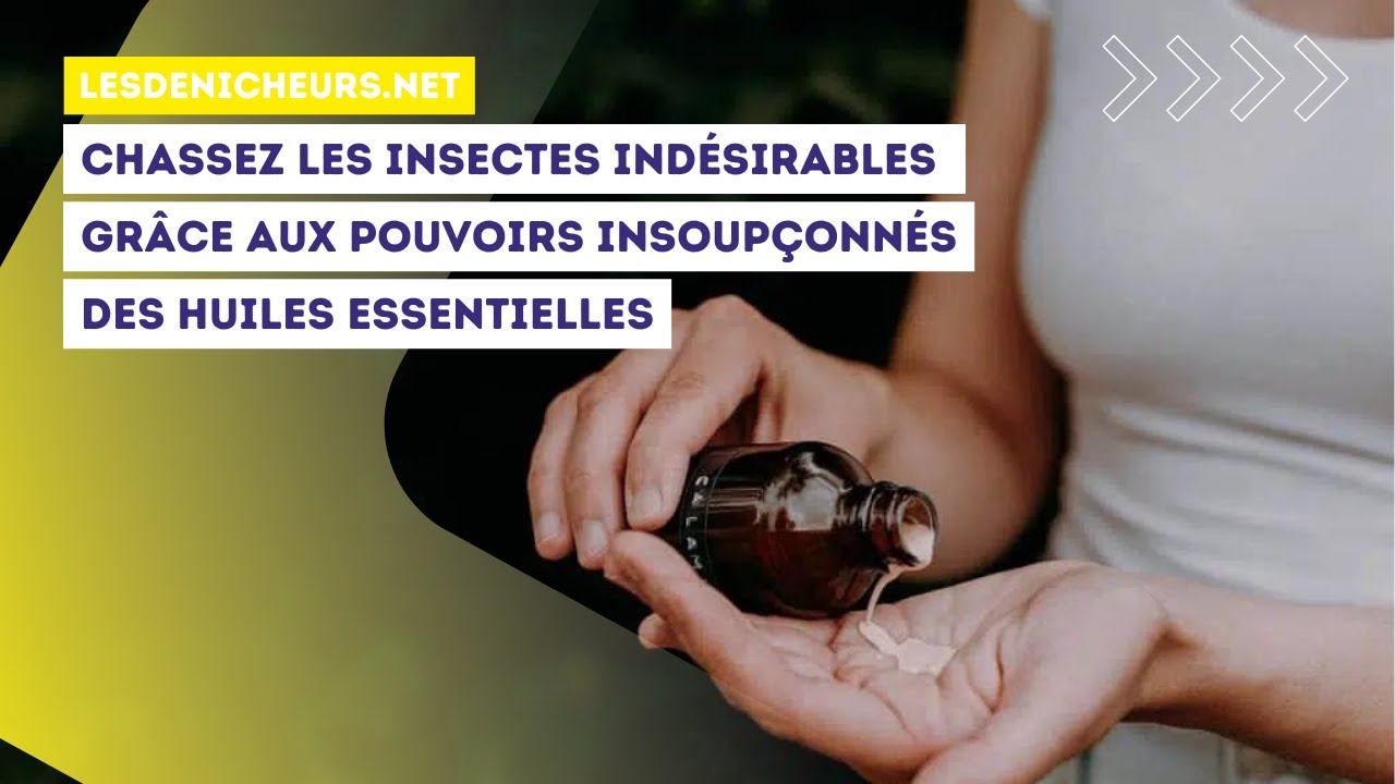 Chassez les insectes indésirables grâce aux pouvoirs insoupçonnés de ...
