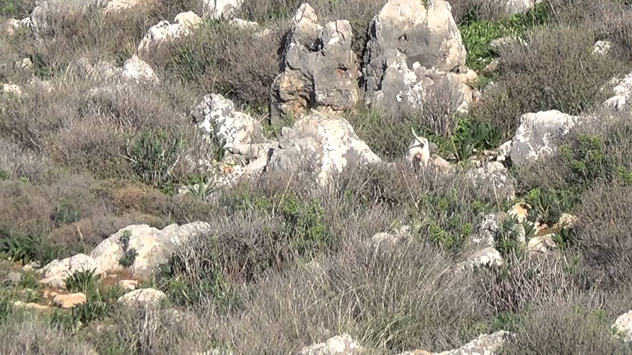 ΙΣΤΡΙΑΣ ΣΕ ΕΡΕΥΝΑ Νο2 - YouTube