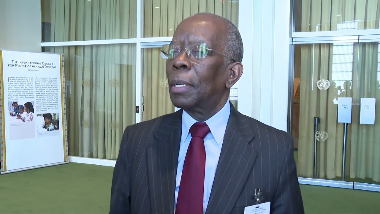 Entrevista: primeiro-ministro de Moçambique, Adriano Maleiane - YouTube