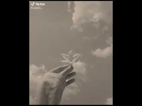 status ucun video❤🍃