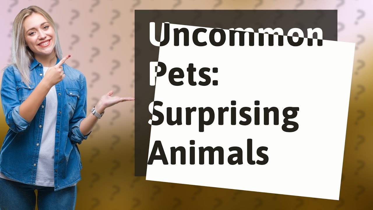 What Uncommon Pets Do Kids Around the World Actually Own? - YouTube