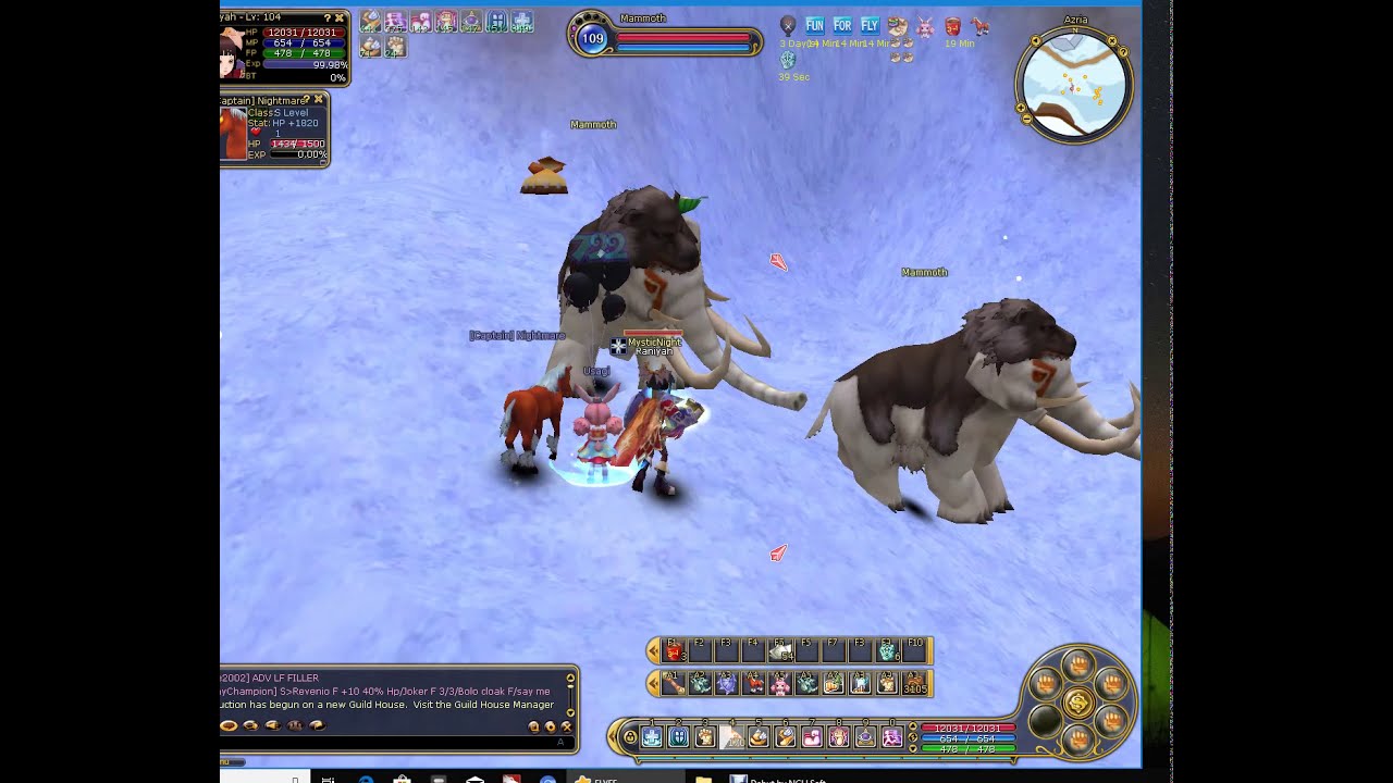 FlyFF Billposter hits level 105 - YouTube