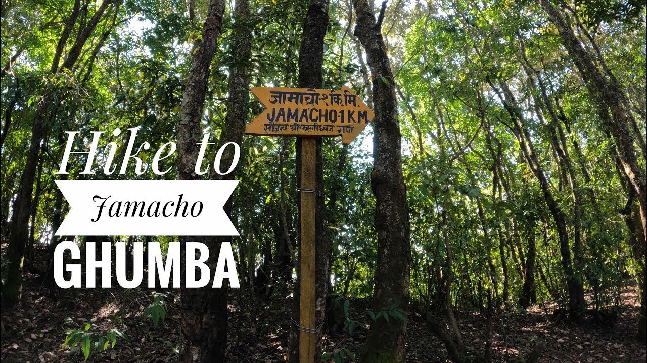 Jamacho Trek with friends...... #nepal #jamacho #trekking #kachi_6T4 # ...