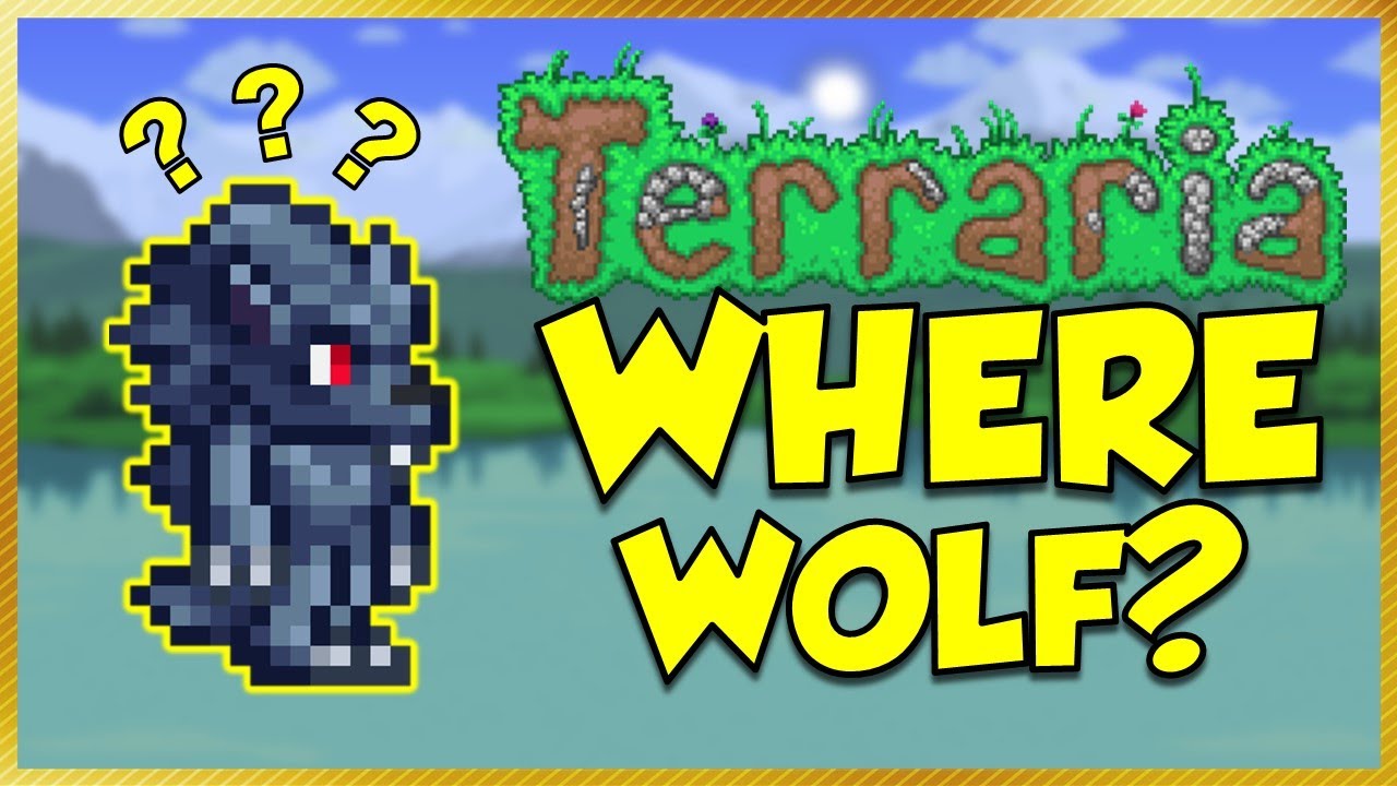 Terraria | Where wolf? - YouTube