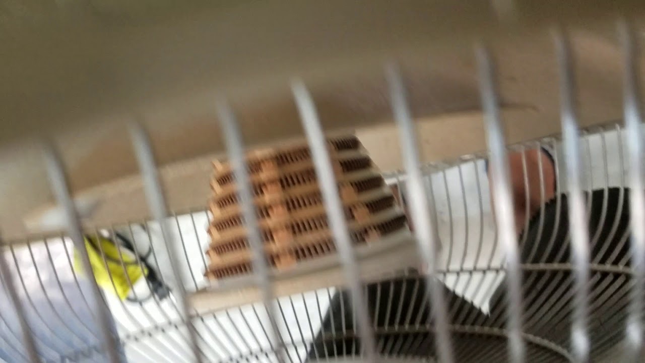 Fans at Goodwill: Heat Dish Fan - YouTube
