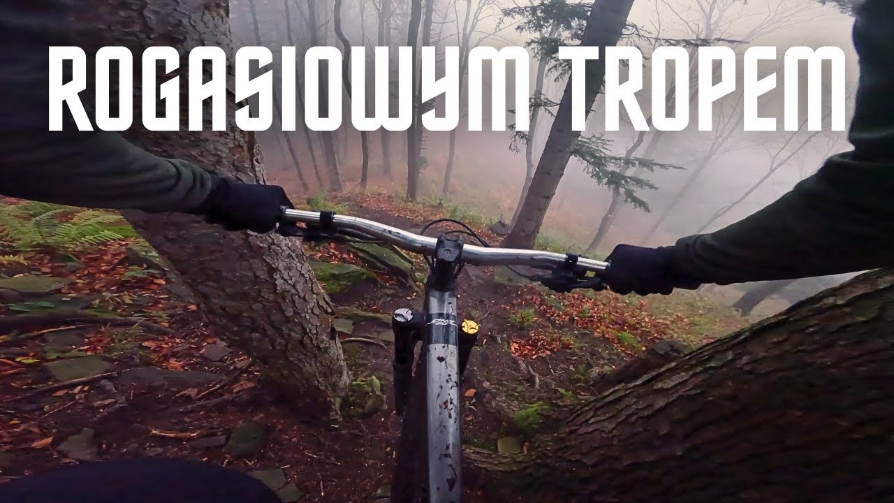 Beskid Sądecki | Kraina rasowych singli ENDURO | Rogasiowy | Raciczka ...