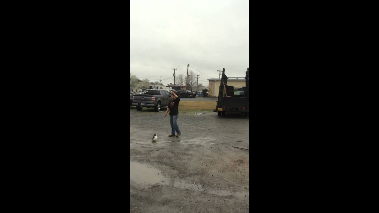 Hard hat challenge fail - YouTube