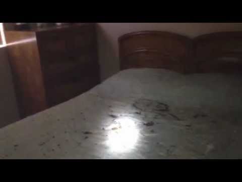 Serious Rat infestation In Home - YouTube