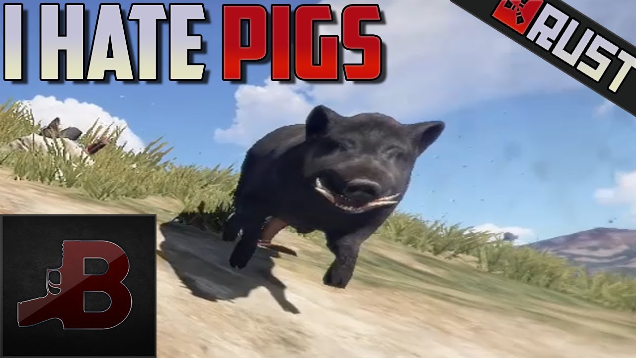 I Hate Pigs - Rust - YouTube