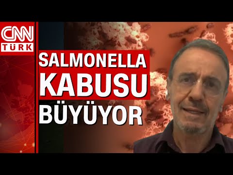 Nedir bu salmonella? 'Salmonella Bakterisi' Türkiye'de var mı?